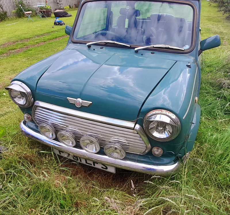 Classic Rover Mini Cars for Sale | CCFS