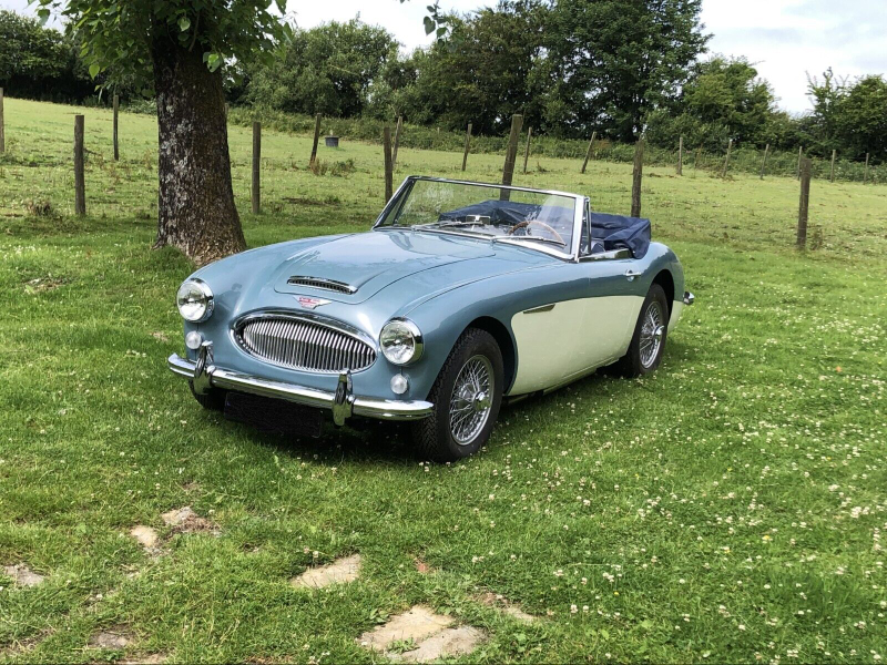 Classic Austin Healey Cars for Sale | CCFS