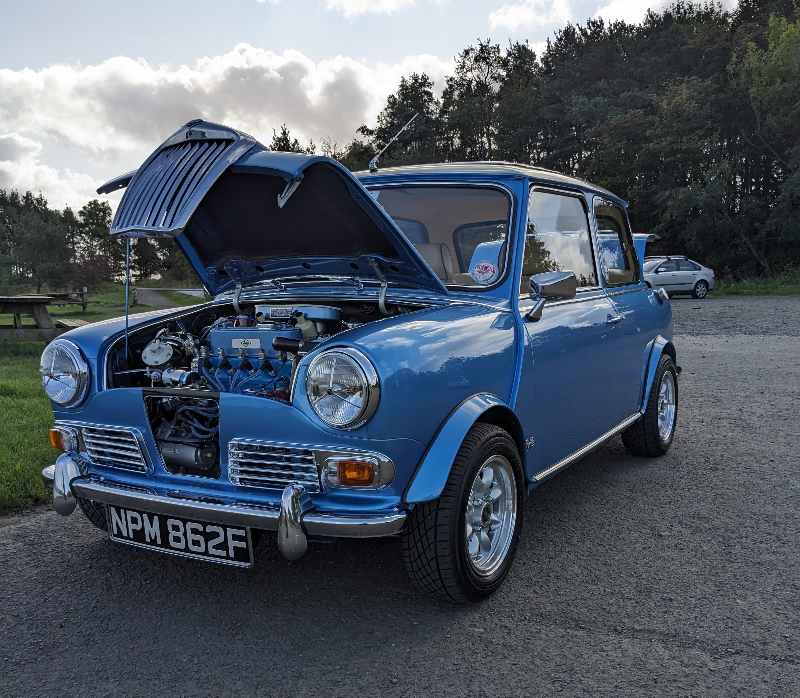 Classic Riley Elf Cars for Sale | CCFS