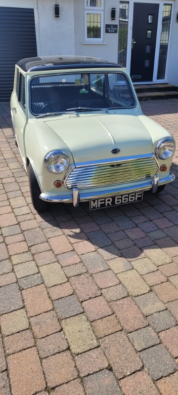 Classic Austin Mini Cars for Sale | CCFS