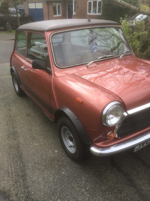 Classic Austin Mini Cars for Sale | CCFS