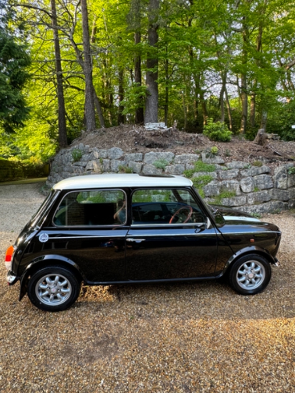 Classic Rover Mini Cars for Sale | CCFS